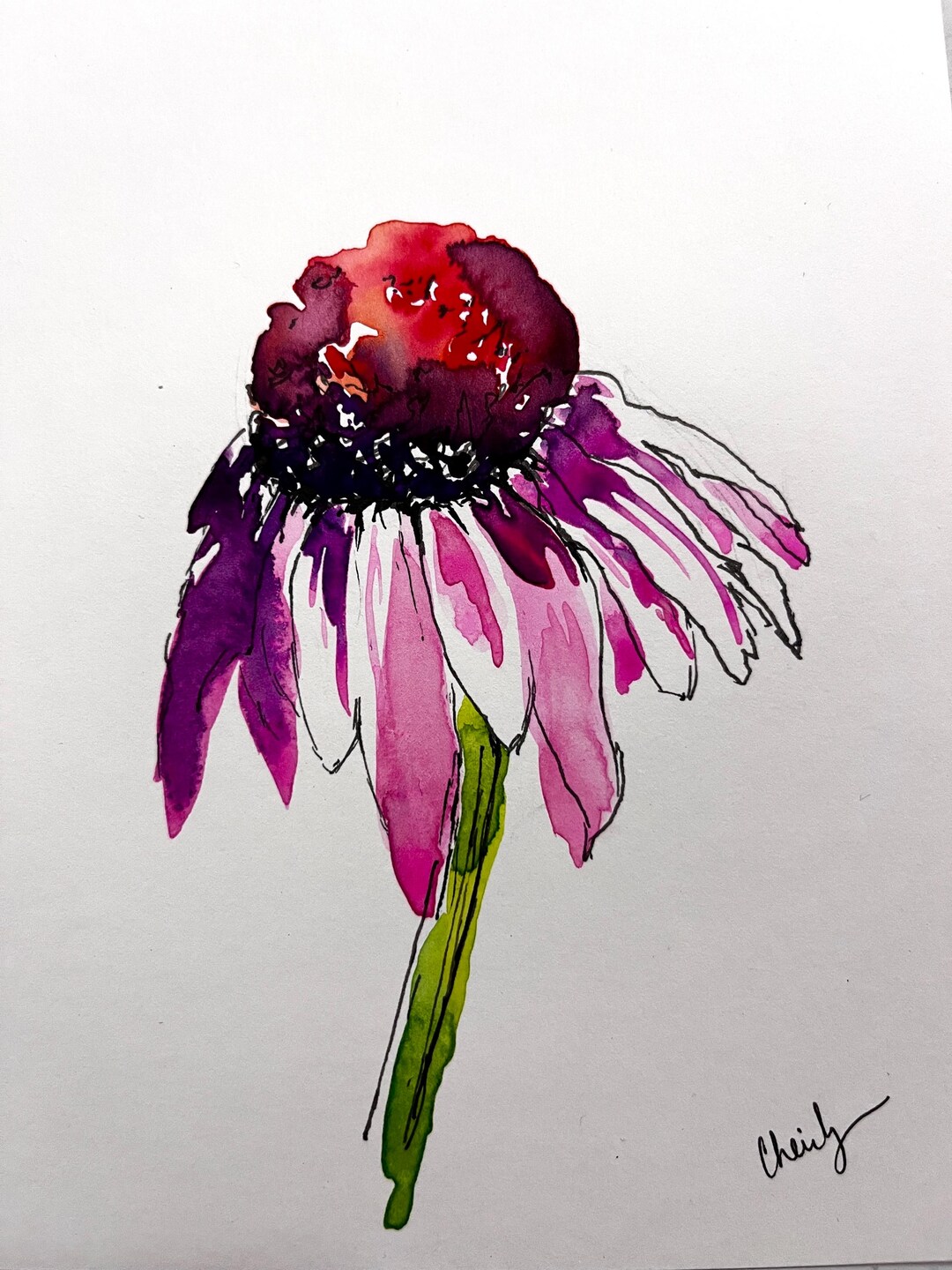 Bright Pink Coneflower Echinacea Flower Line and Wash Floral Original ...