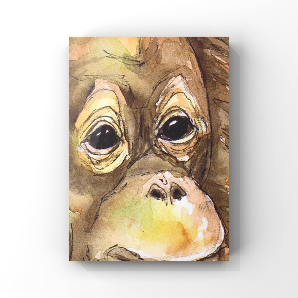 Baby Orangutan Print From a Watercolor Painting 8x10 - Etsy