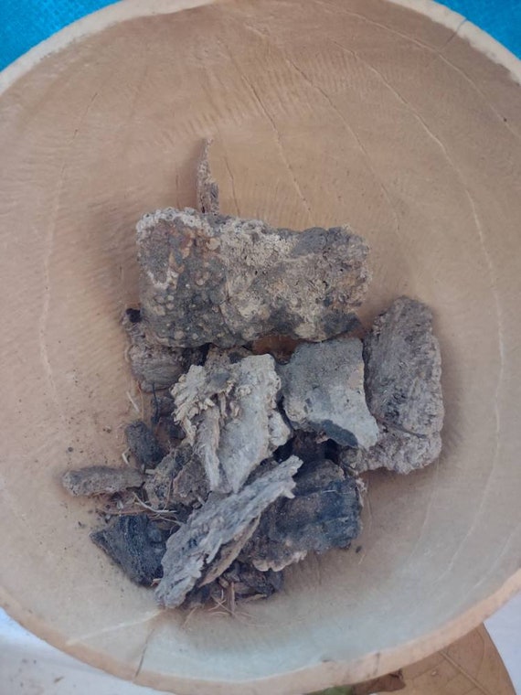 IGI NLA Big Tree - Etsy