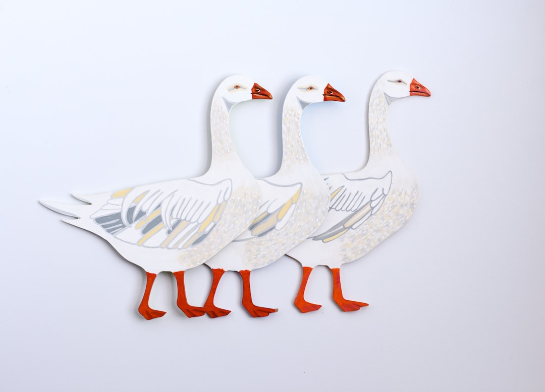 White Goose Wooden Wall Art | Embden Goose | Bird Wall Hanging | 5 ...