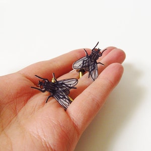 House Fly Cufflinks Insect, Entomology, Bug Gift for Men Gifts Under 25 ...