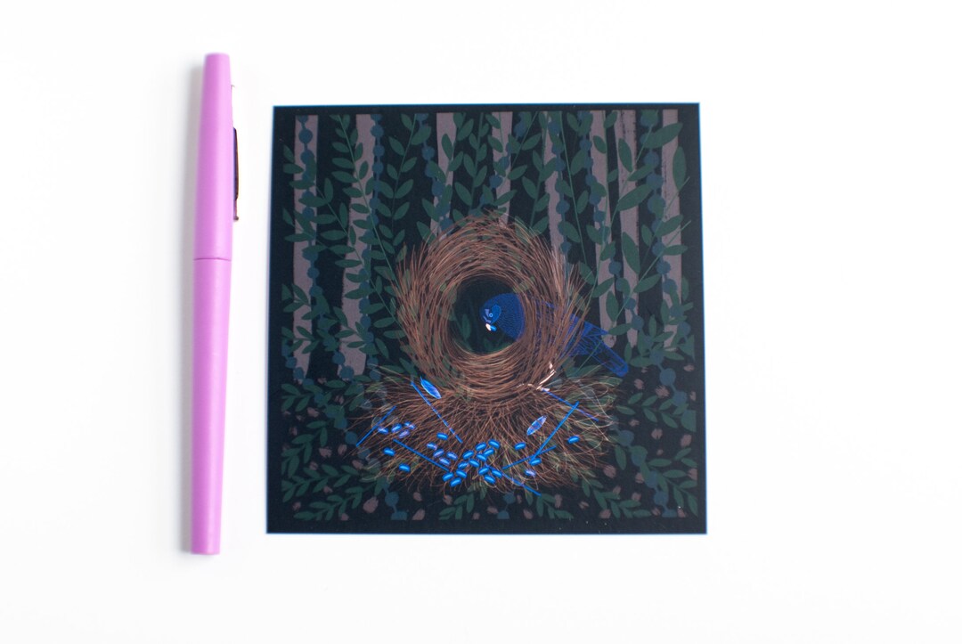 A Bowerbird Courtship Print | 4.75" Square Print | Birds of Australia ...