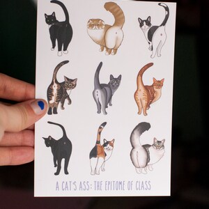 A Cat's Ass: the Epitome of Class Print | Cat Butt Print | Small Cat ...