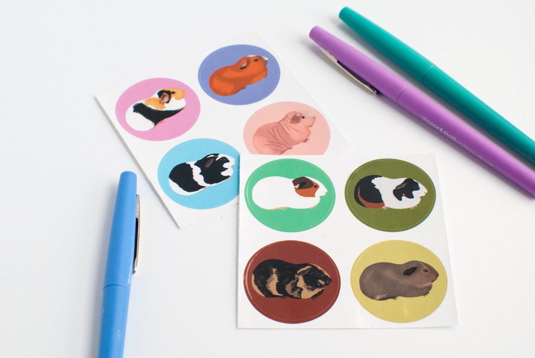 Guinea Pig Stickers | Colorful Round Labels, iPad Stickers - Etsy