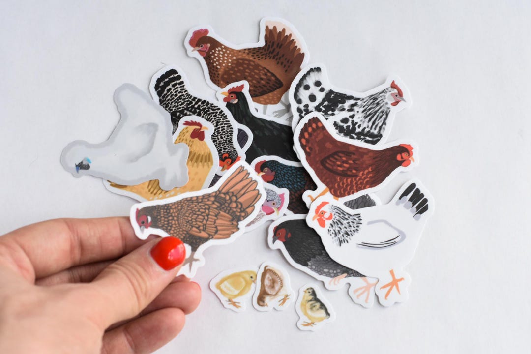 Chicken Stickers: Hens and Chicks, Matte Die Cut (set of 12) - Etsy