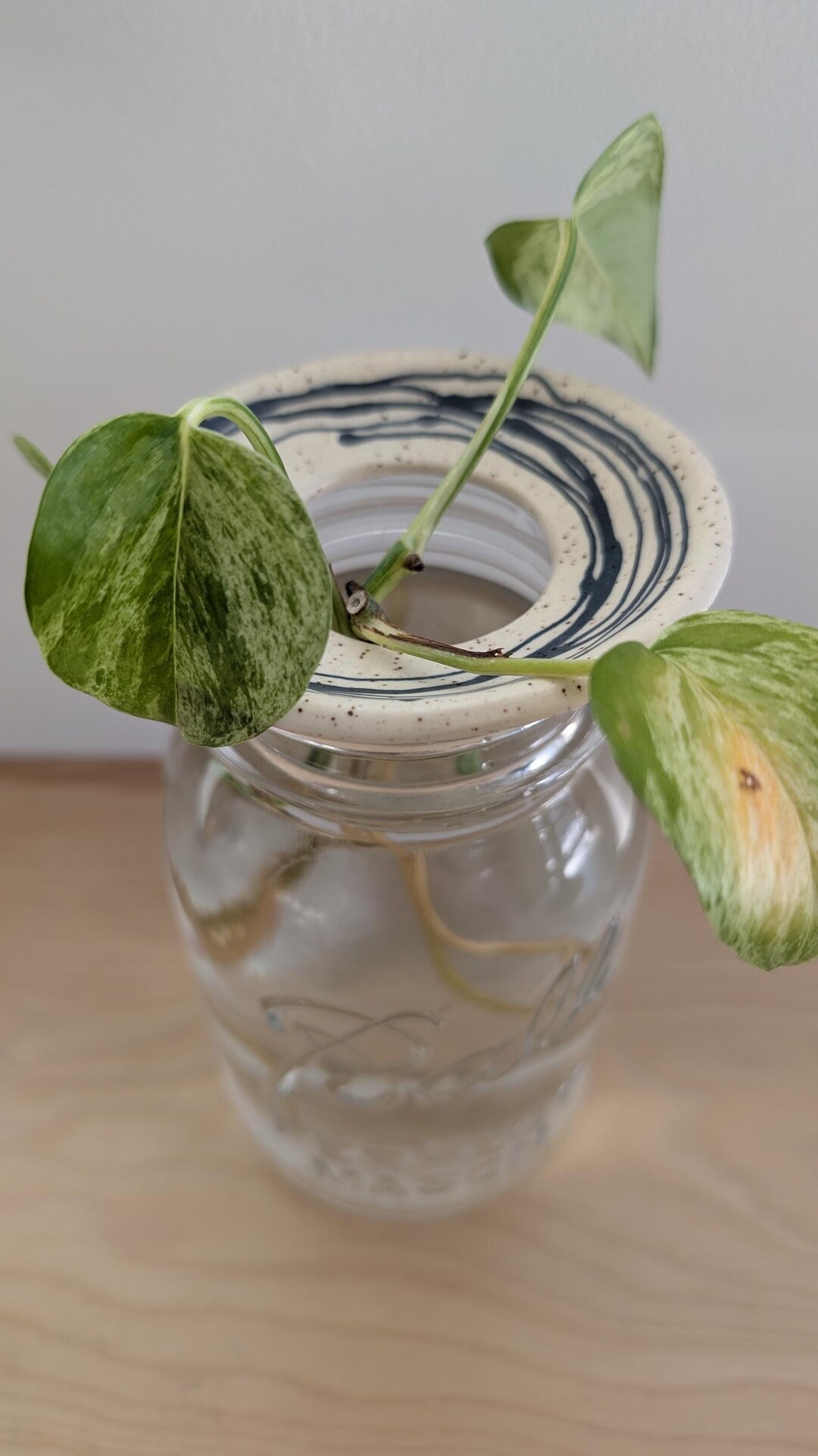 Freehand Drawn Handmade Ceramic Plant Propagation Jar Sitter - Etsy