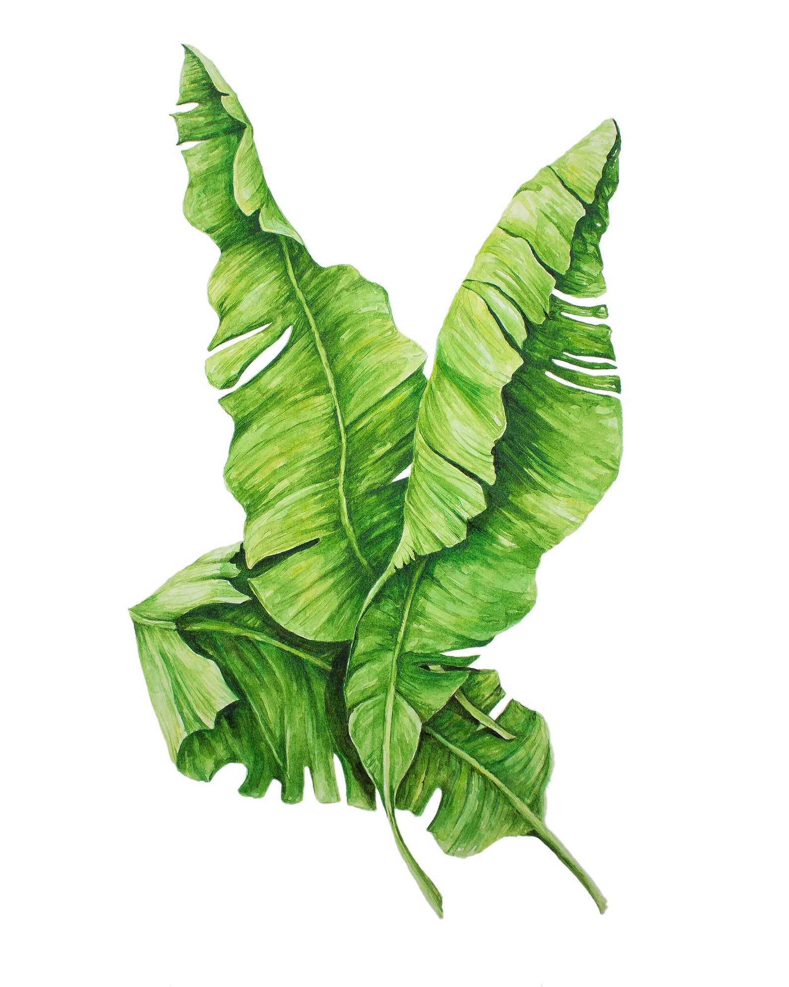 Botanical Leaf Portraits // Set of 3 // Digital Download - Etsy