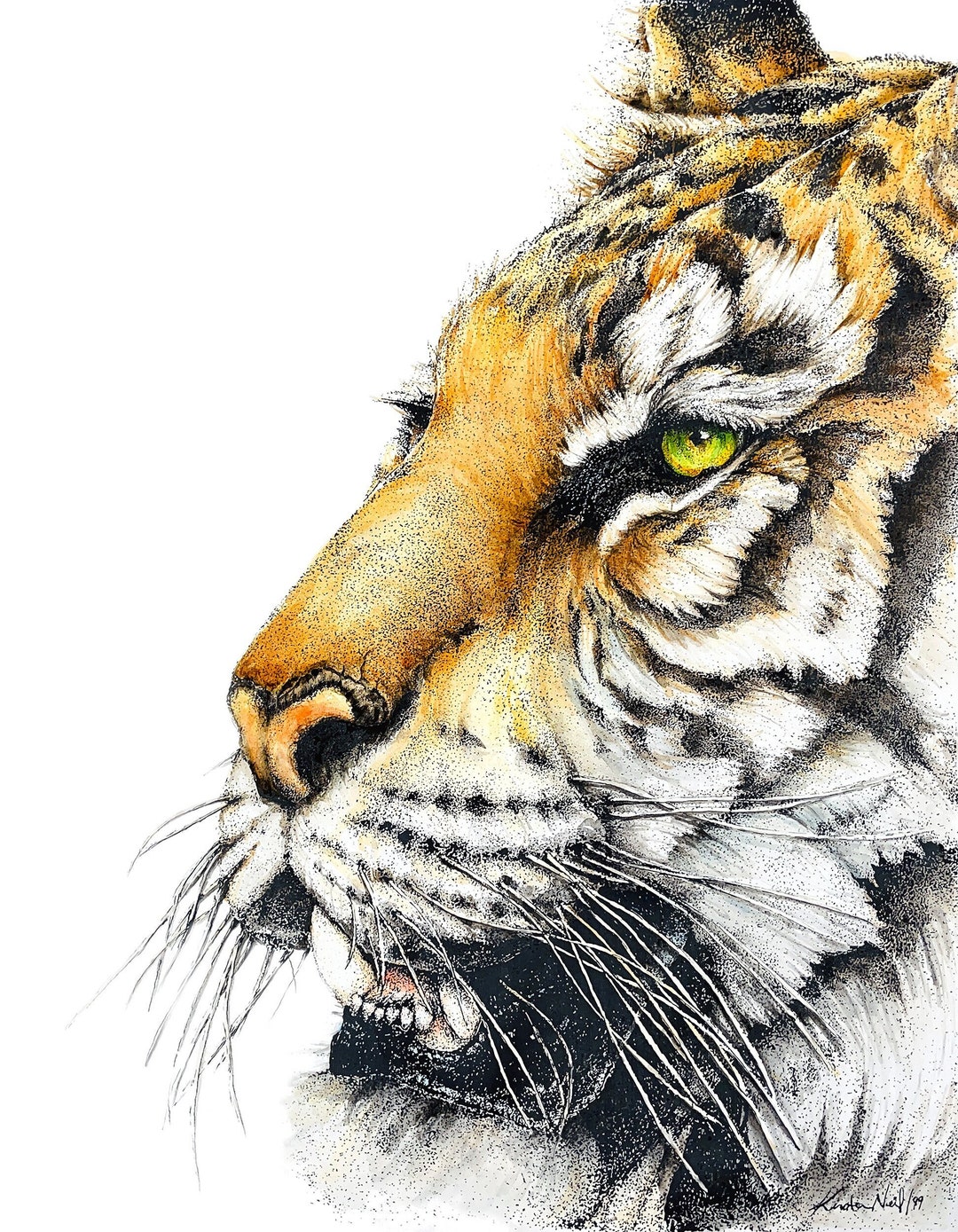 The Tiger in Colour // Digital Download Print // Canadian Artist ...