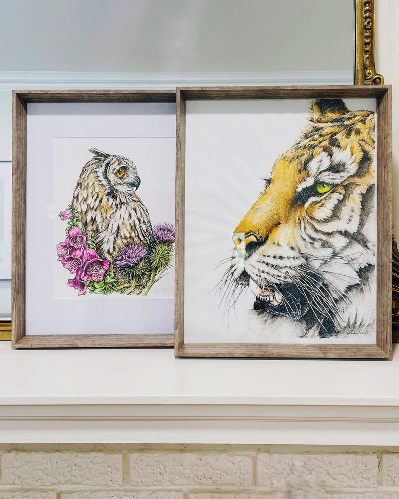 The Tiger in Colour // Digital Download Print // Canadian Artist ...