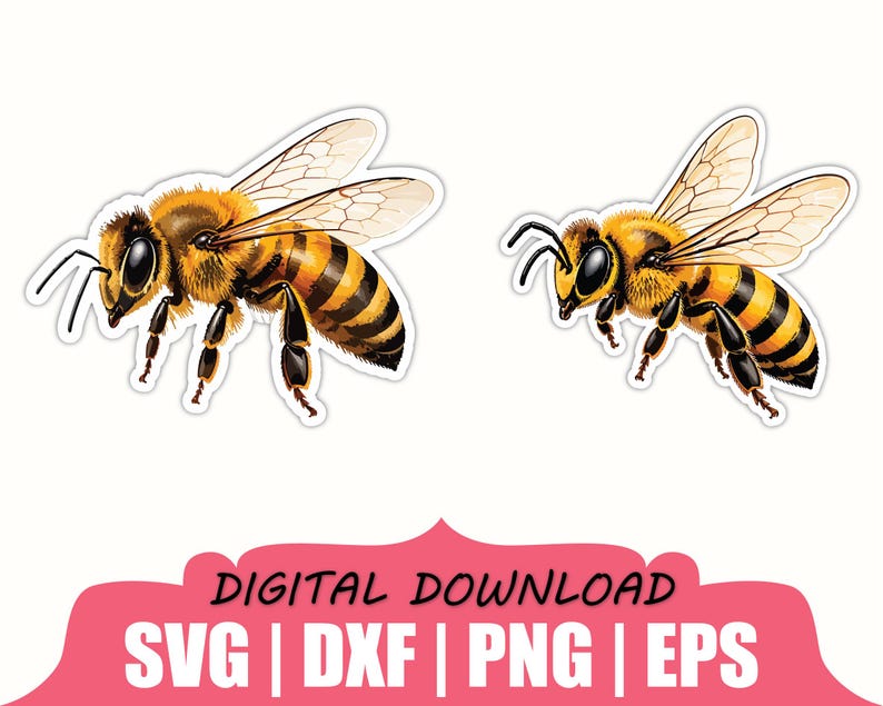 Bee Sticker Svg, Dxf, Png - Etsy