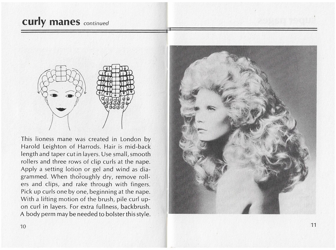 1972 Styles and Sets for Long Hair - Etsy