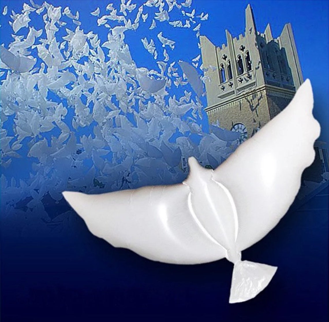 Balloons - White Peace Dove Balloon Latex Balloons Big Latex Balloon ...