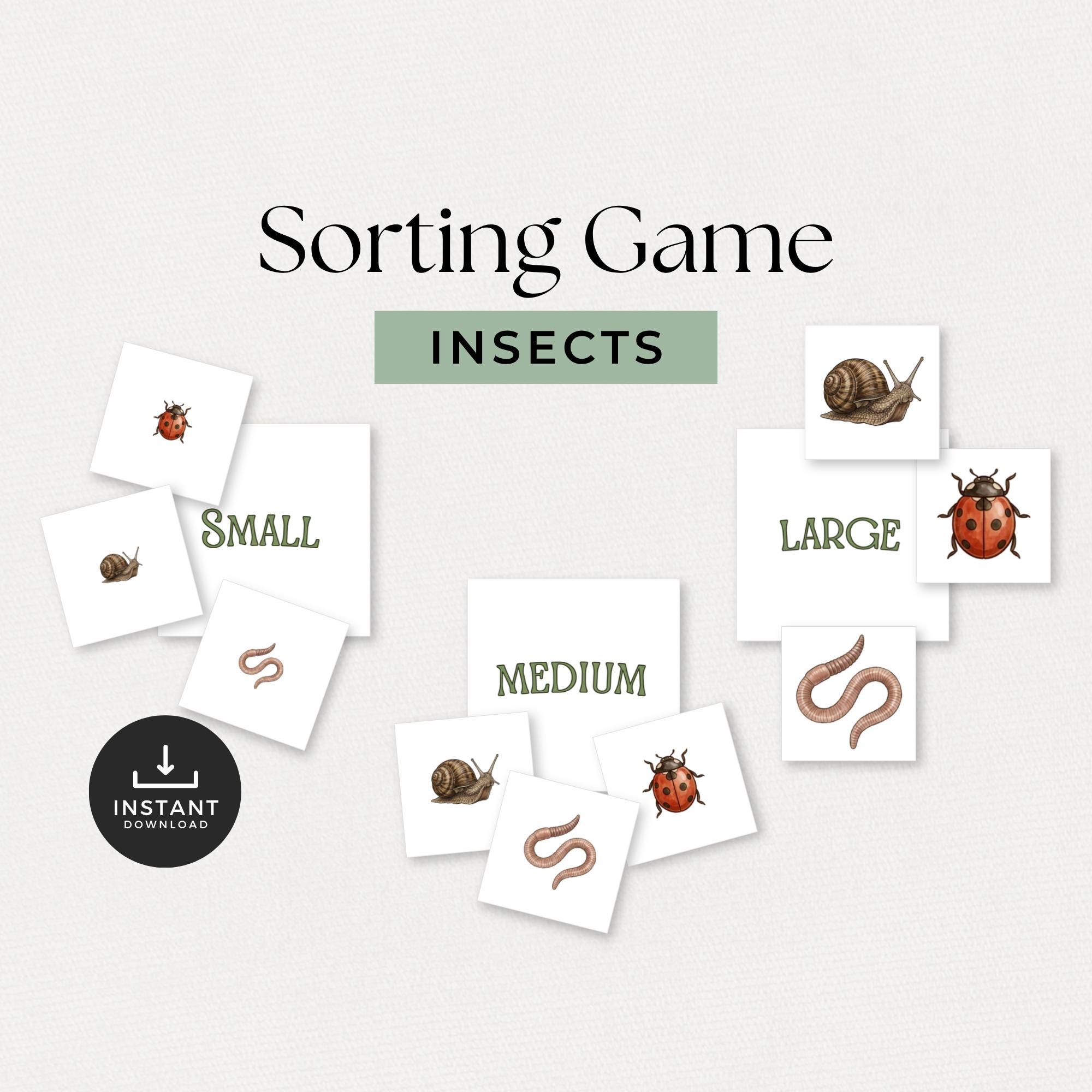 Garden Bugs Size Sorting Activity | Preschool Math Printable | Small ...