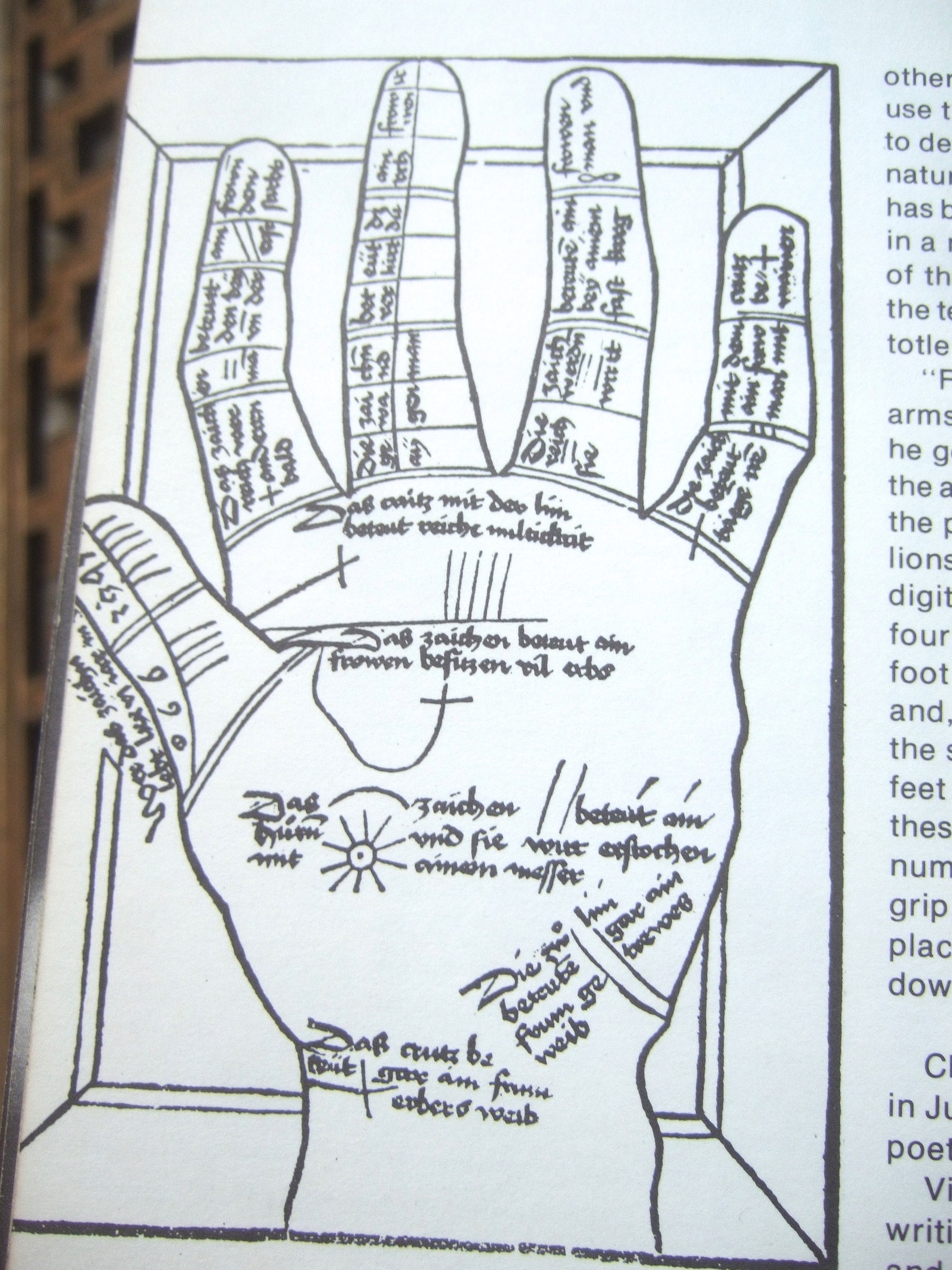Palmistry the Art of Reading Hands Vintage Hard Cover Book C 1970s - Etsy