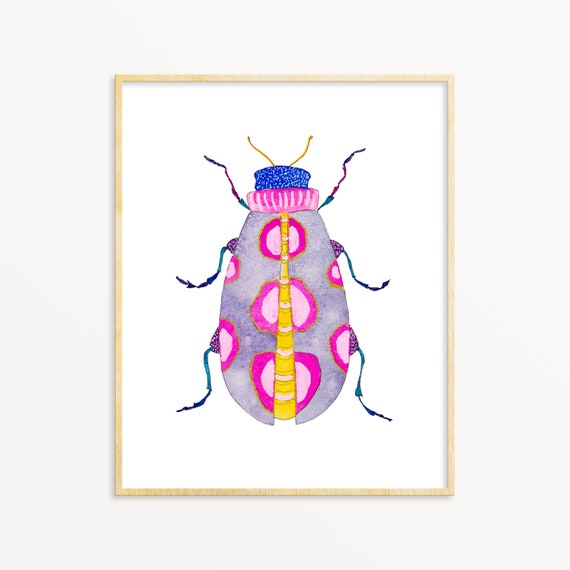 Pink Beetle Insect