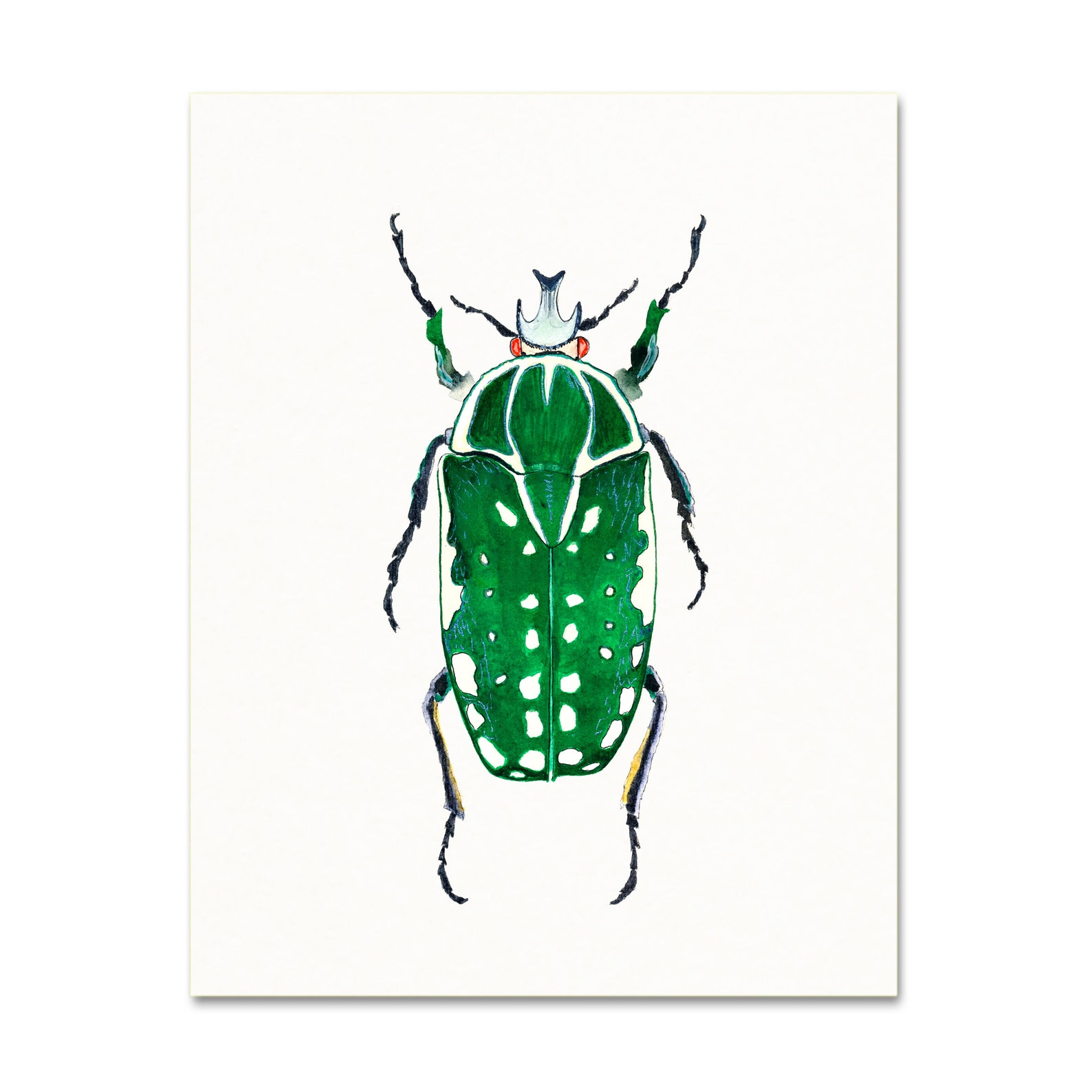 Green Beetle Watercolor Art Print. Bug Art. Kids Room Decor. | Etsy
