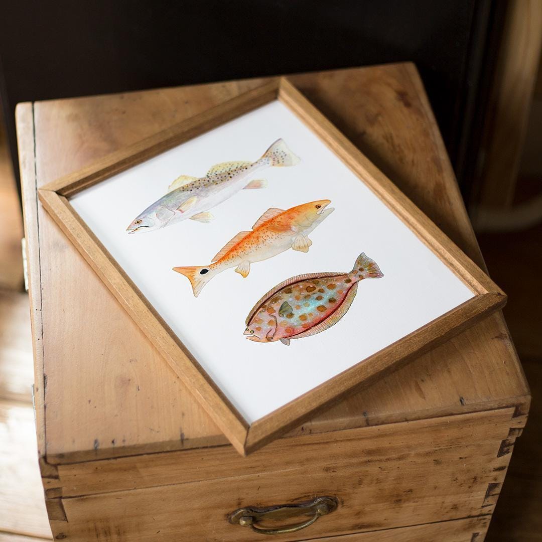 Watercolor Fish Art Print. Texas Grand Slam Red Fish, Speckled Trout ...