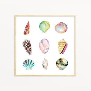 Sea Shell Collection Art Print. Watercolor Sea Shells Art. | Etsy