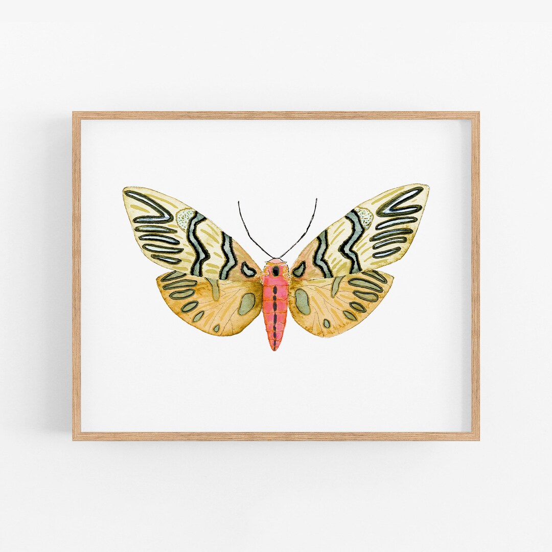 Fun Bug Art. Moth Painting. Colorful Insect Art. Nursery Art. Kids Room ...