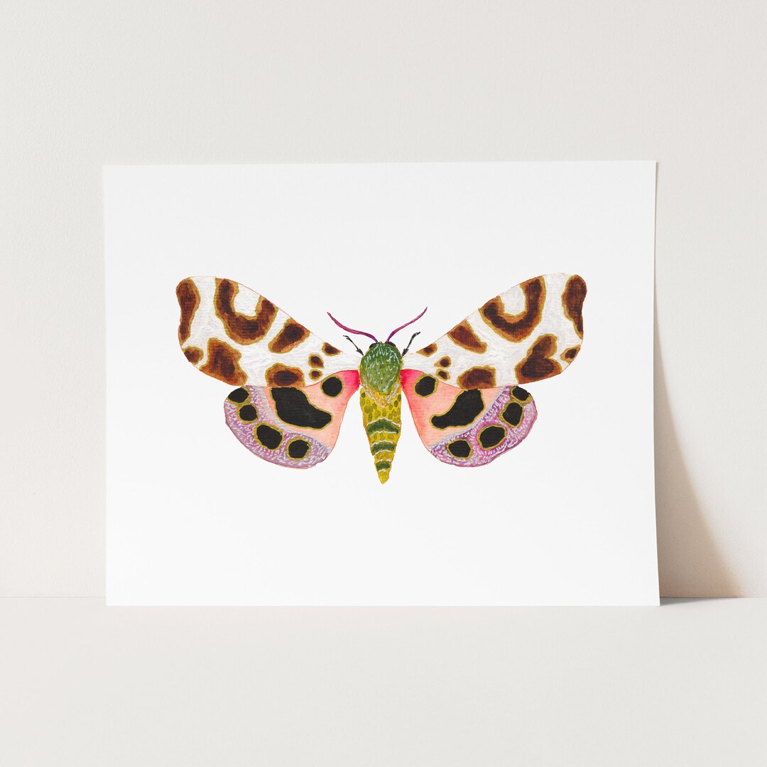 Colorful Moth Art Print. Tiger Moth Art Print. Pretty Moth Art ...