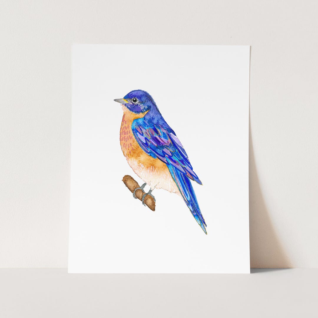 Watercolor Bluebird Art Print. Eastern Bluebird Art. Missouri, New York ...