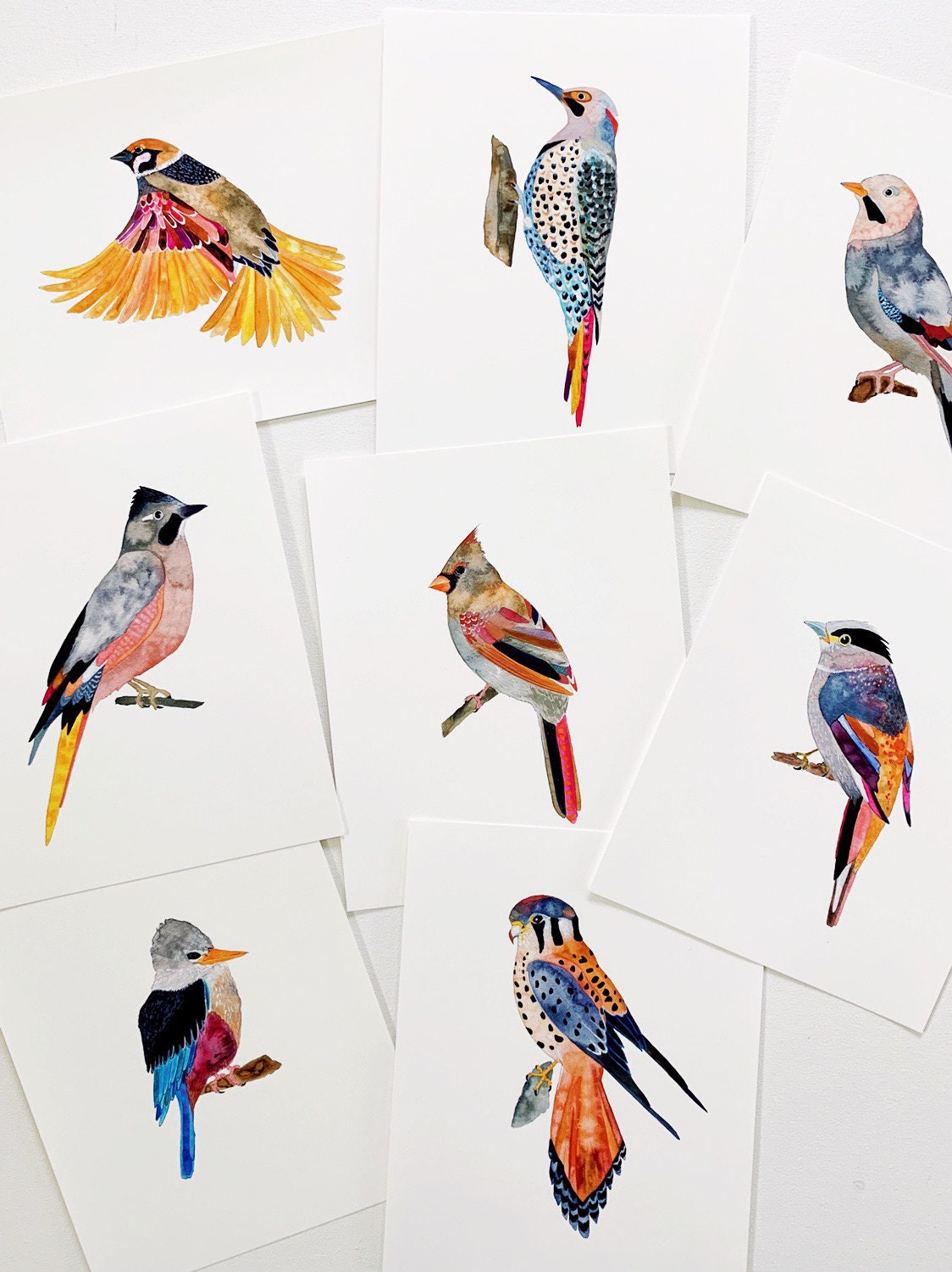 Broadbill Bird Art Print. Watercolor Bird Painting. Colorful - Etsy