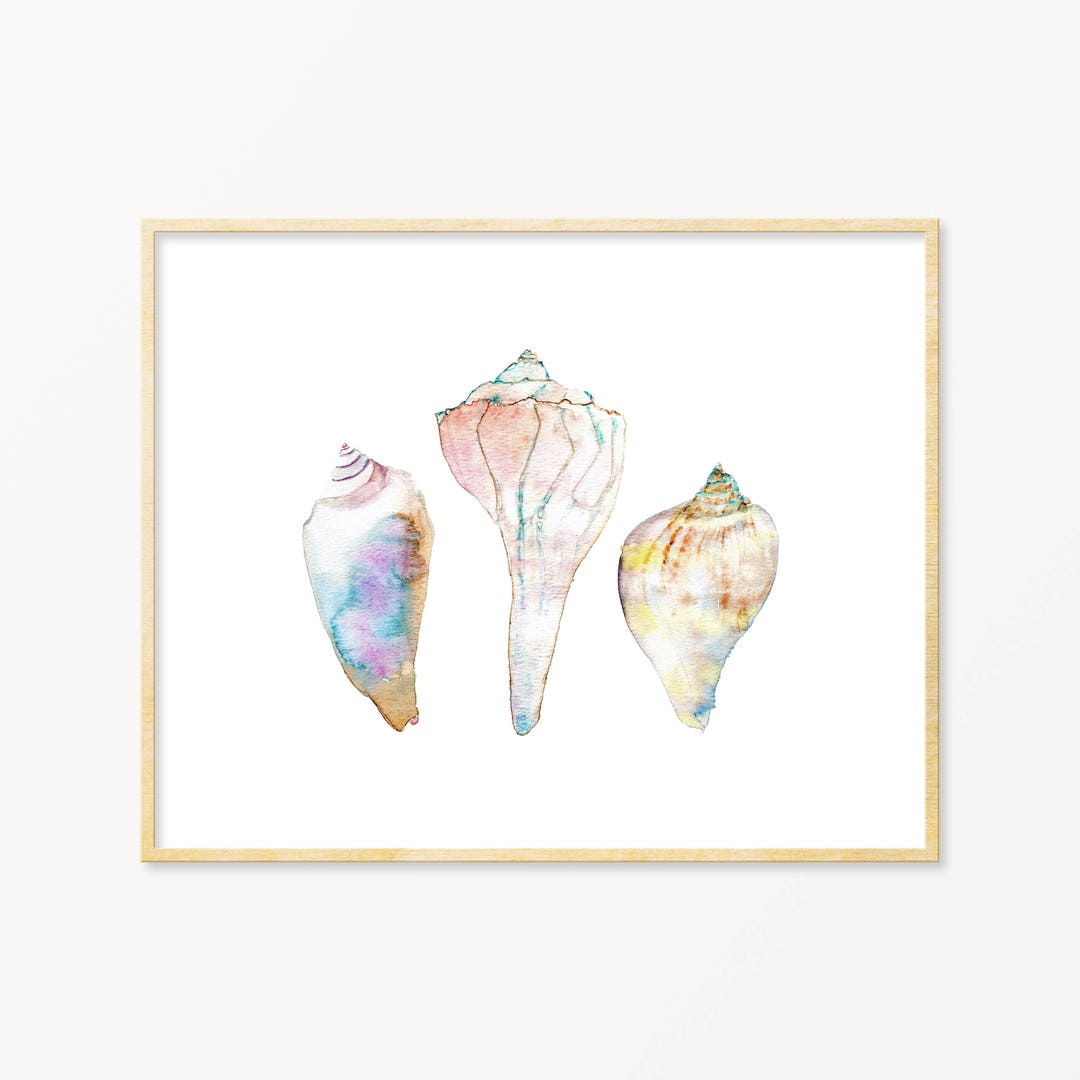 Watercolor Shell Art Print. Conch Sea Shells Artwork. Serene Coastal ...