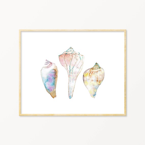 Art & Collectibles Prints Beach Shells Art Print etna.com.pe