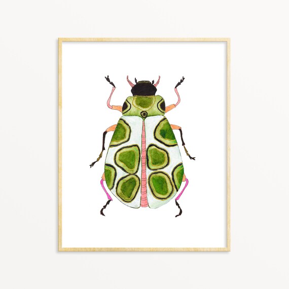 Watercolor Beetle Art Print. Fun Green Bug Art. Watercolor - Etsy