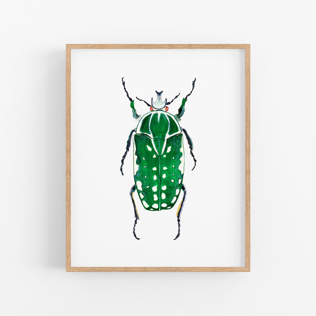 Green Beetle Watercolor Art Print. Bug Art. Kids Room Decor. Minimalist ...