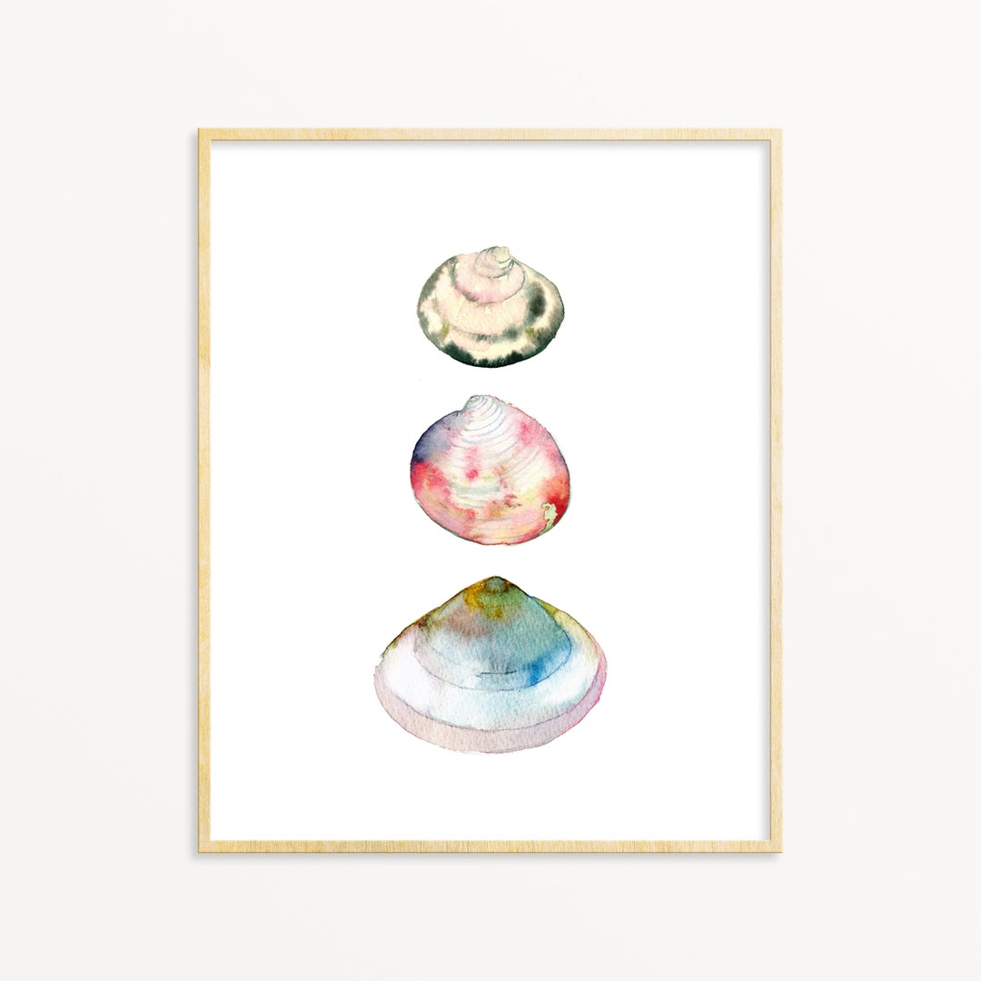 Pastel Colored Sea Shell Watercolor Art Print. Pink & Teal Watercolor ...