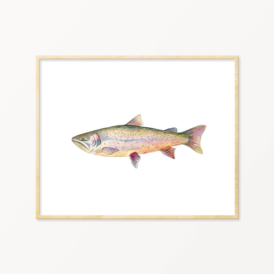 Bull Trout Watercolor Art Print. Trout Wall Art. Fish Art. - Etsy