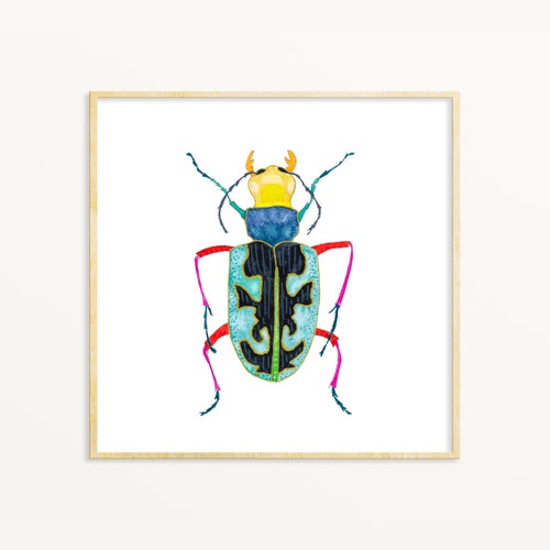 Watercolor Bug Art Print. Boys Room Decor. Colorful Bug Art - Etsy