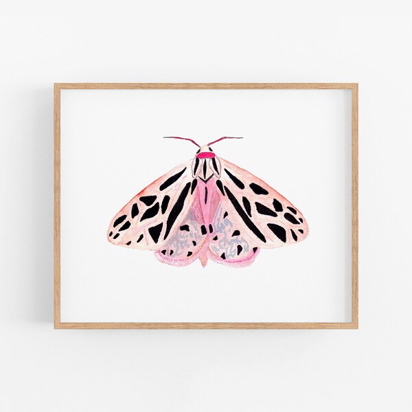 Pink Moth - Etsy