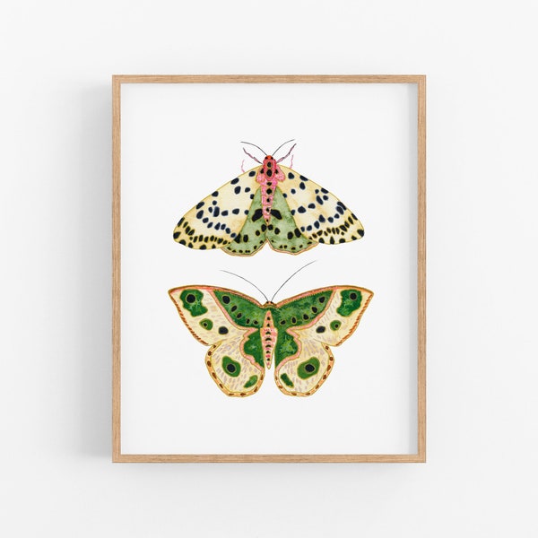 Moth Print - Etsy
