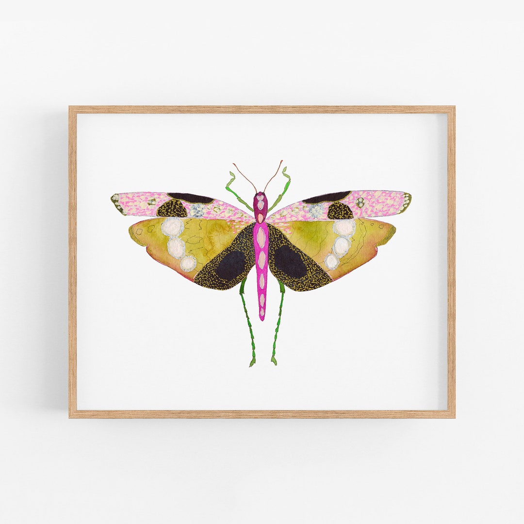 Unique Grasshopper Art Print. Colorful Bug Watercolor Art Print. Pretty ...