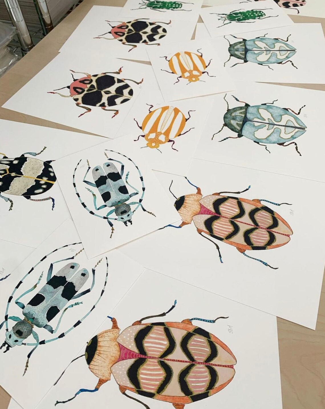 Light Blue Beetle Art Print. Pretty Bug Art. Nature Decor. | Etsy