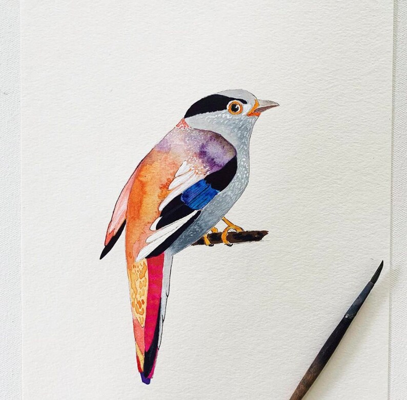 Broadbill Bird Art Print. Watercolor Bird Painting. Colorful - Etsy