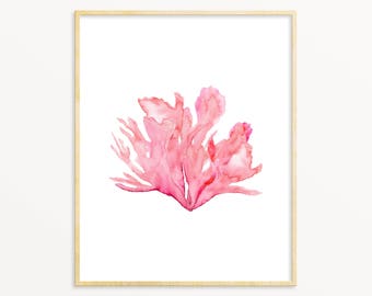 Coral Wall Art - Etsy