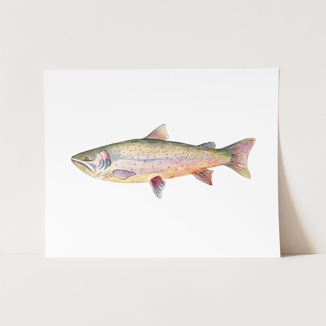 Bull Trout Watercolor Art Print. Trout Wall Art. Fish Art. Nature ...