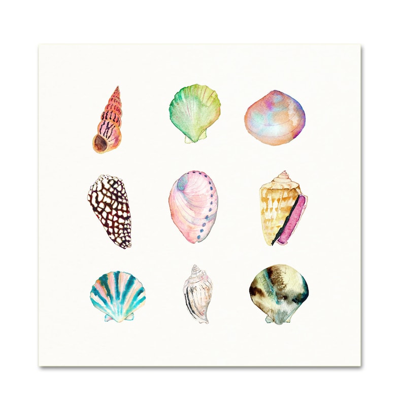 Sea Shell Collection Art Print. Watercolor Sea Shells Art. | Etsy
