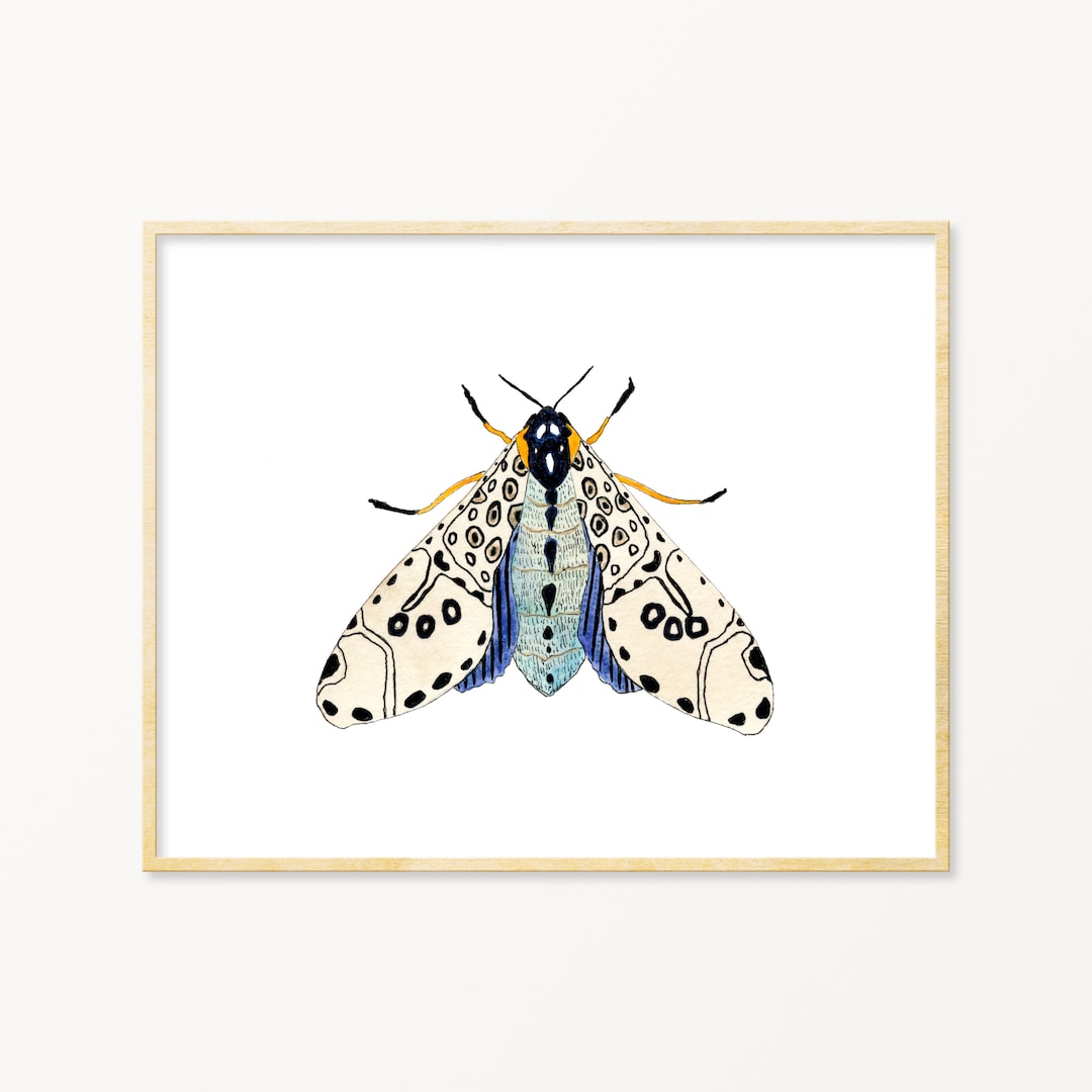 Pale Blue Moth Art Print. Nature Gallery Wall Art. Kids Room Decor ...