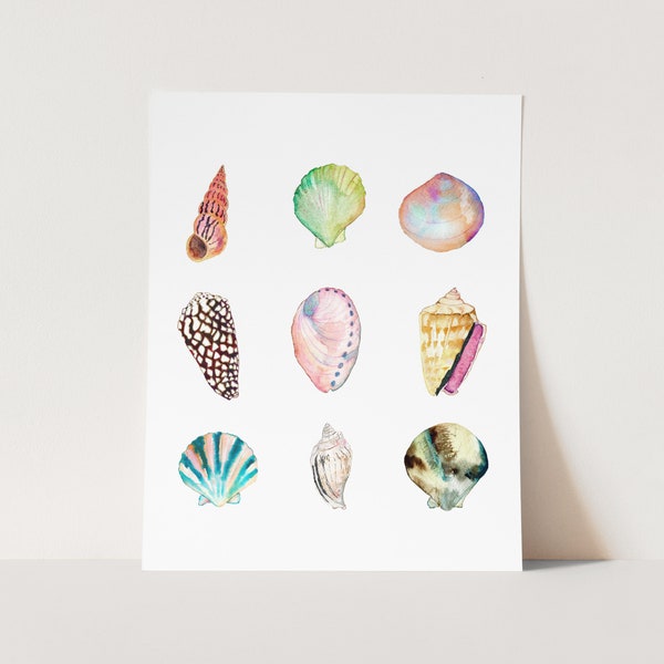 Shell Art - Etsy