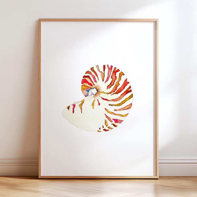 Nautilus Shell Art - Etsy