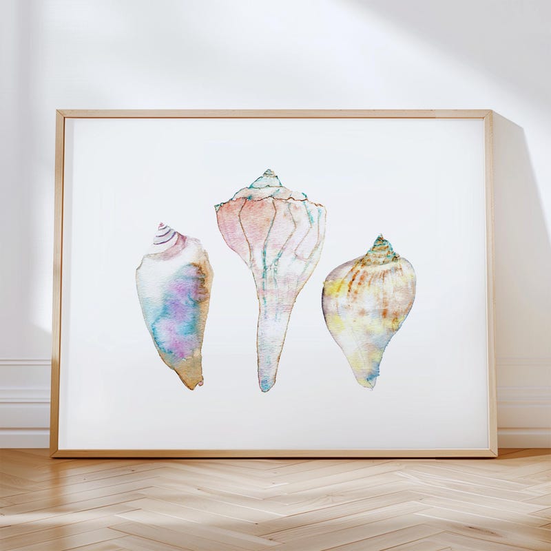 Conch Shell Art - Etsy