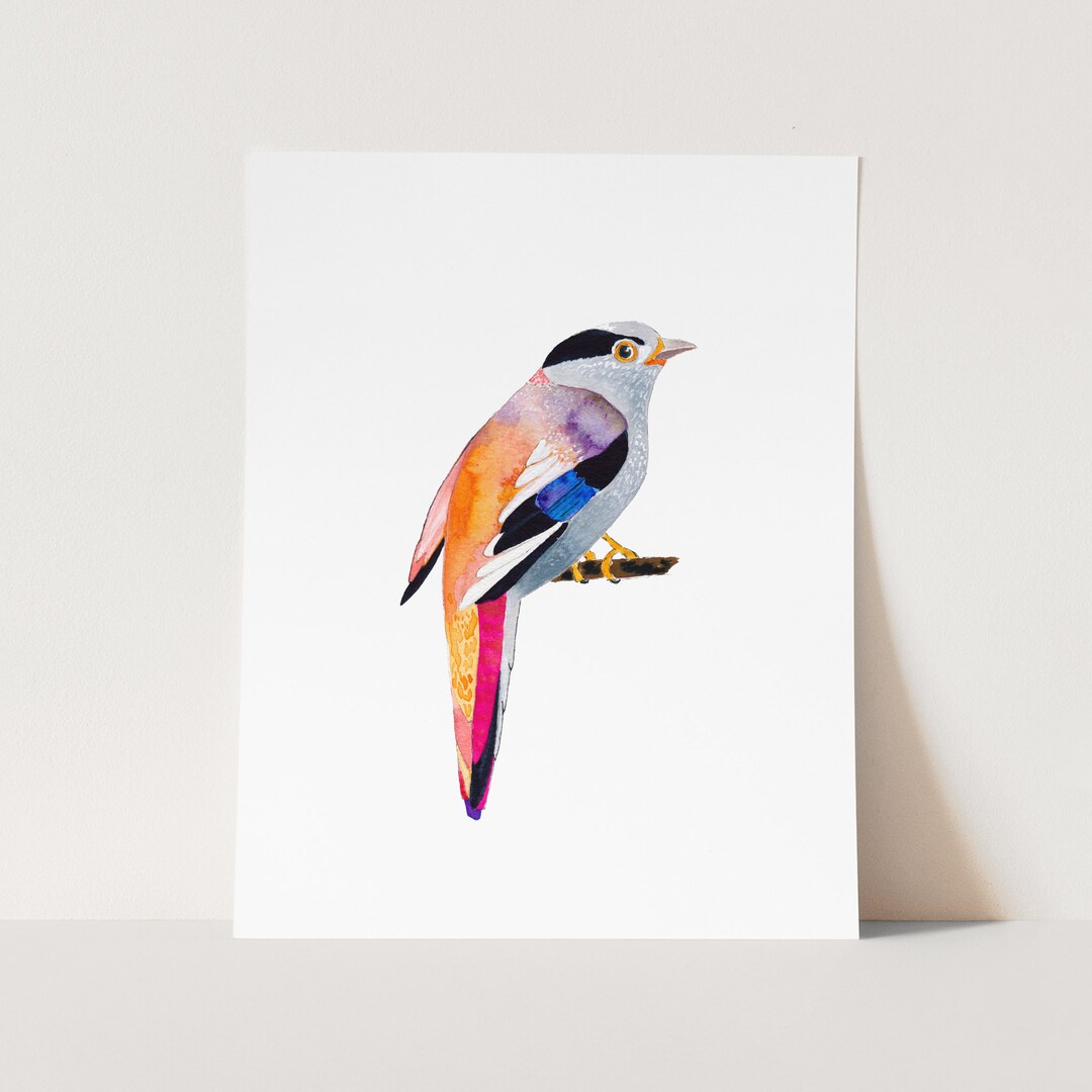 Broadbill Bird Art Print. Watercolor Bird Painting. Colorful Bird Print ...