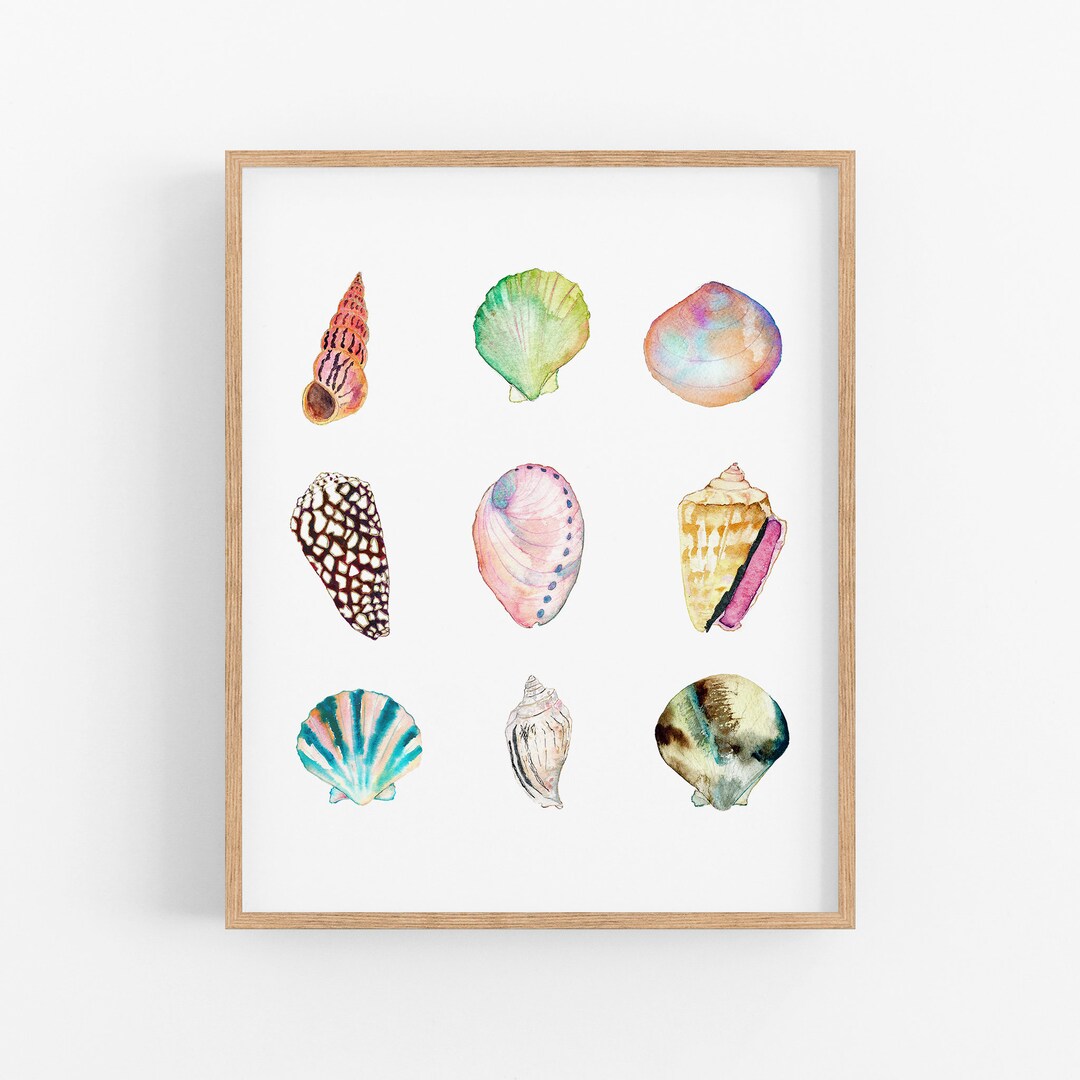 Sea Shell Collection Art Print. Watercolor Sea Shells Art. Beach Art ...