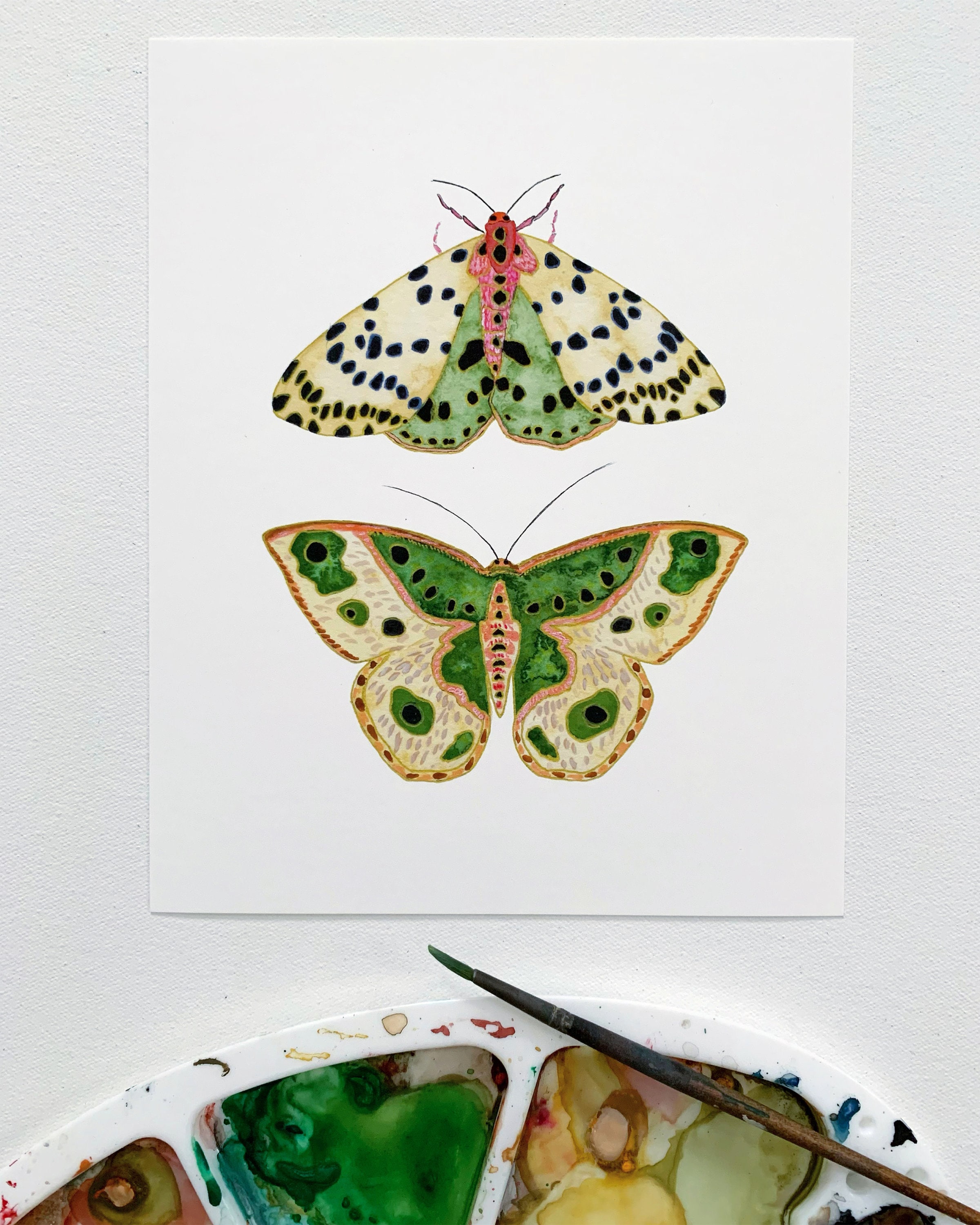 Green Moths Art Print. Fun Bug Art. Nursery Art. Moth | Etsy