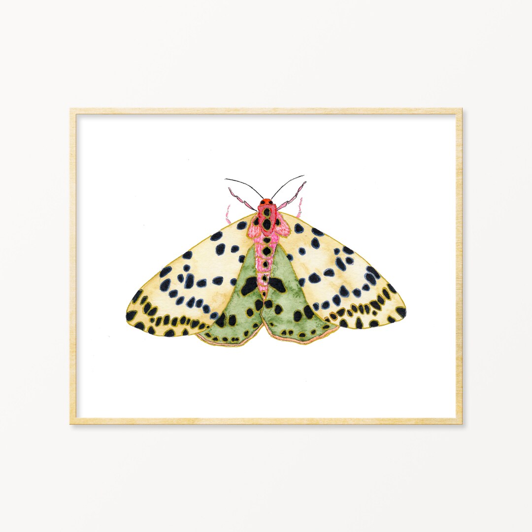 Pretty Bug Art Print. Green Moth. Children's Room Decor. Modern Nature ...