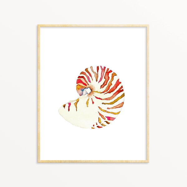 Nautilus Shell Art - Etsy